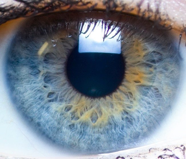 Bionic Lens: Sind Brille und Kontaktlinse bald passé?